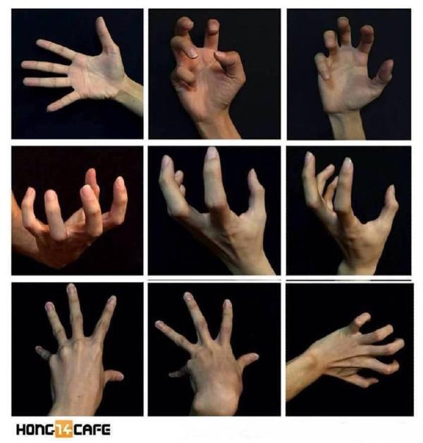 手把手教你画手手～正经教程+中二的手部参考 - 知乎