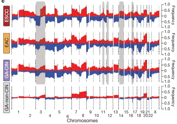 gistic score的ggplot2可视化 - 知乎