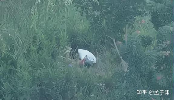 女大学生与男网友在小树林约会,被男友找到时,女孩腿软走不动路 知乎