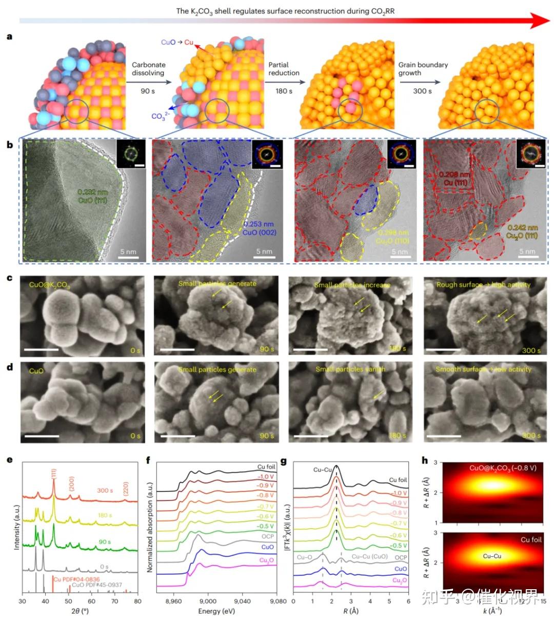 中科大周煌、吴宇恩Nature Synthesis：碳酸调控CuO重构提升CO₂电还原 - 知乎