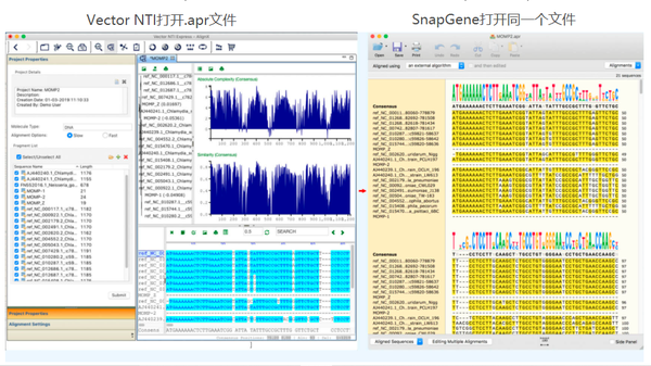SnapGene完美替代Vector NTI，如何用SnapGene打开Vector NTI文件呢？ - 知乎
