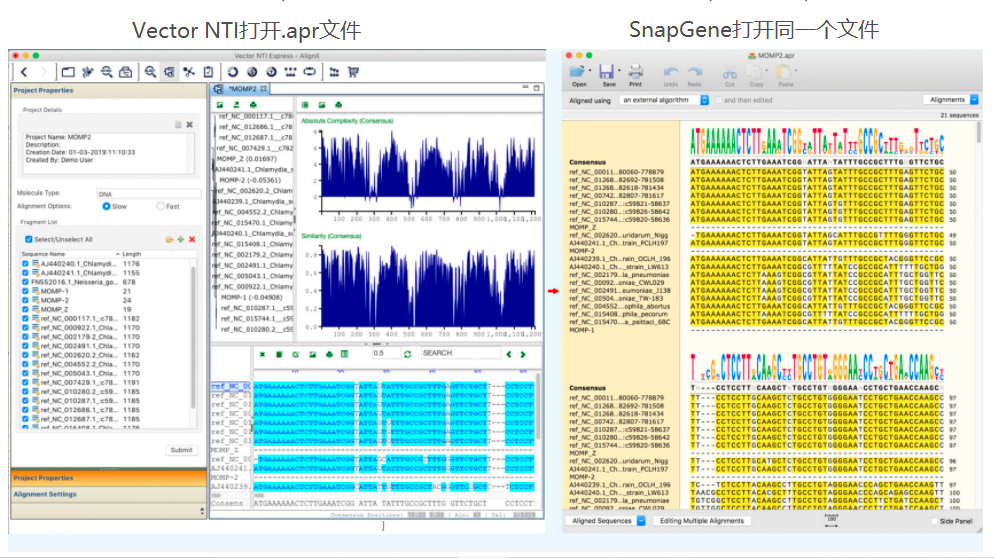 SnapGene完美替代Vector NTI，如何用SnapGene打开Vector NTI文件呢？ - 知乎