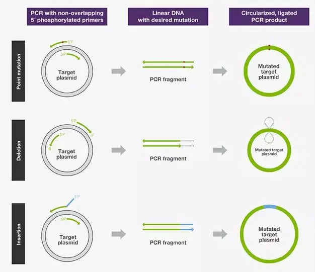 干货盘点 | PCR究竟有哪些应用领域？ - 知乎