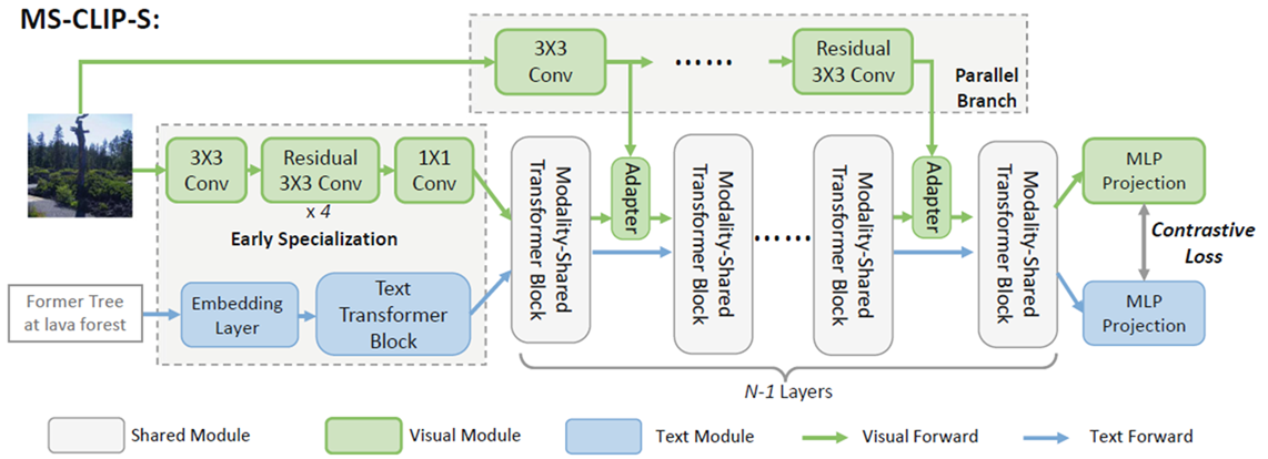 ECCV 2022 | MS-CLIP：共享部分参数的改进版 CLIP，为视觉任务特别优化 - 知乎