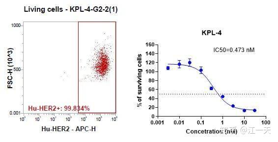 创模生物：HER2阳性的DS-8201耐药PDX模型 - 知乎