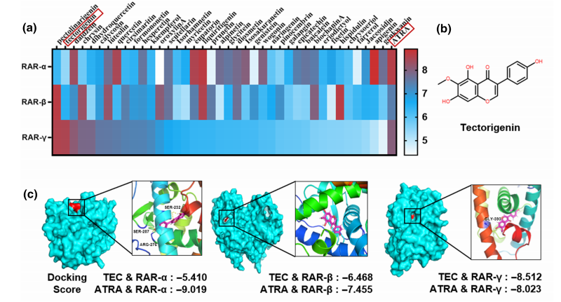 影响因子9.5！国产护肤品牌基础研究吸睛 - 知乎