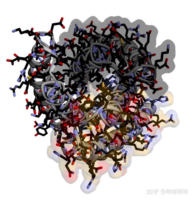 6.7 De Novo Protein Design with PyRosetta - 知乎