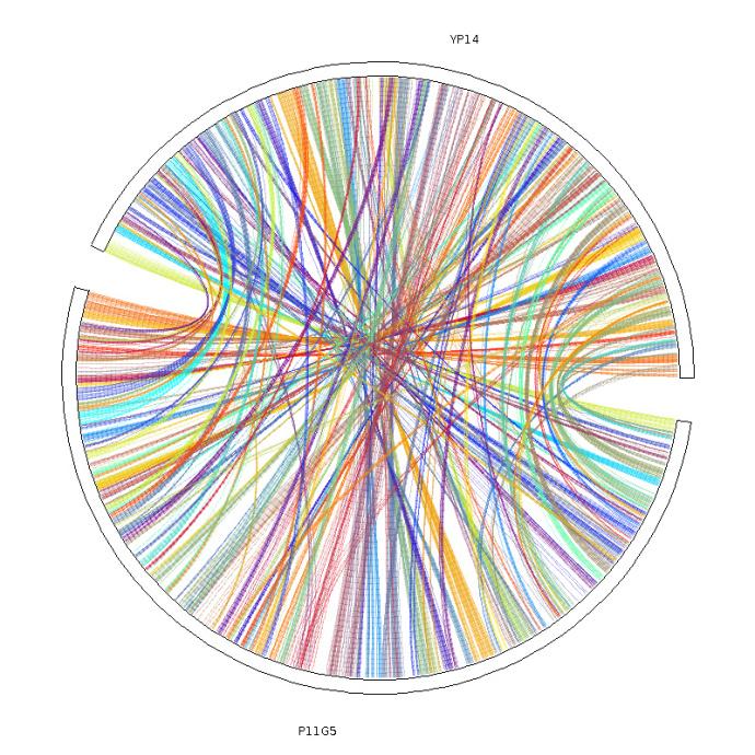 MCScanX 与MUMmer的基本使用 - 知乎