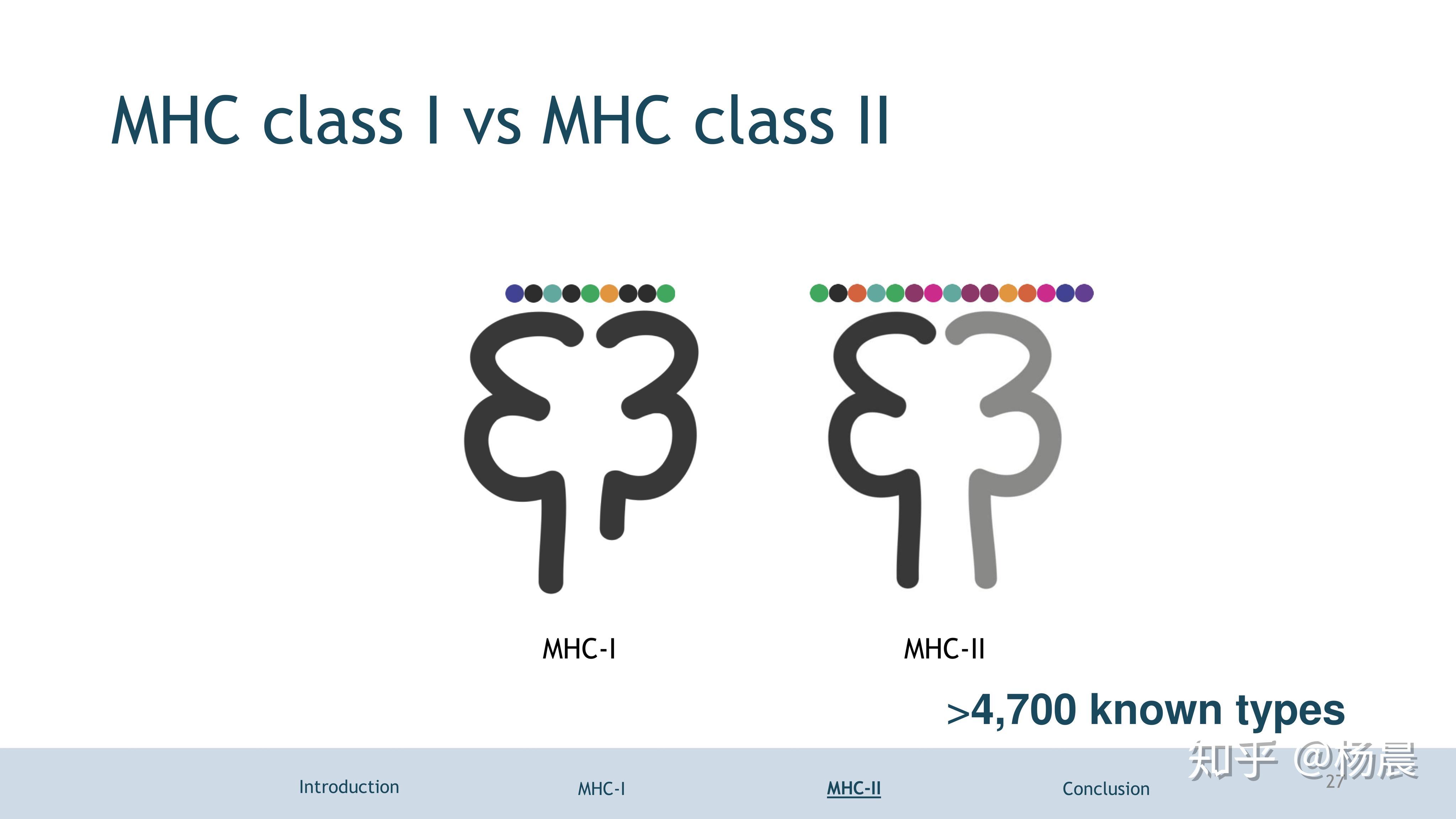 MHC在肿瘤发展过程中的作用 - 知乎