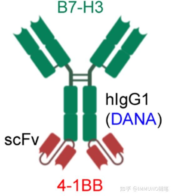 CD137/4-1BB I 肿瘤免疫治疗热门靶点 - 知乎
