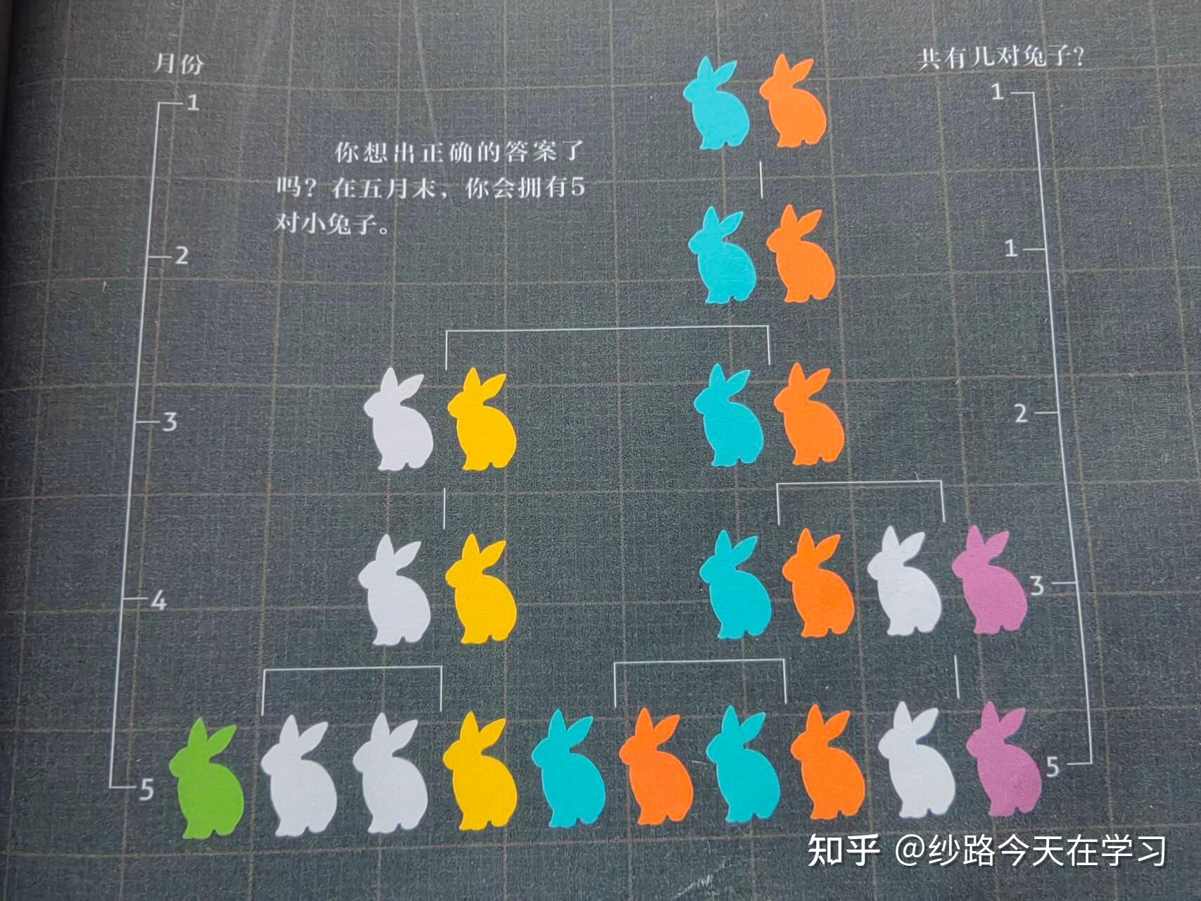 一文带你走近斐波那契数列~ 知乎 0585