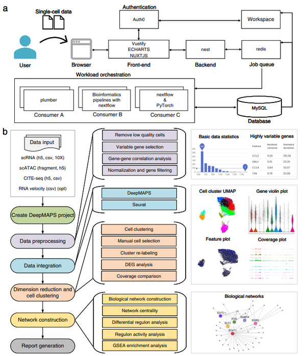 Nat. Commun. | 基于异构图Transformer的单细胞生物网络推理 - 知乎