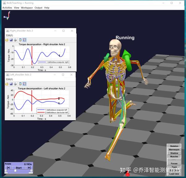 BOB教学版：与您一起发现使用人体运动生物力学模型学习的美妙！（探索跑步运动） - 知乎