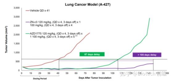 合成致死丨FDA撤销PARPi适应症，升级改造能否另辟蹊径 - 知乎
