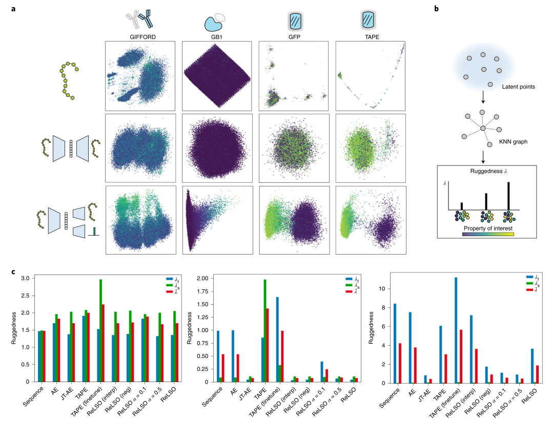 Nat. Mach. Intel. | ReLSO: 具有正则化潜在空间优化的基于Transformer的蛋白生成 - 知乎
