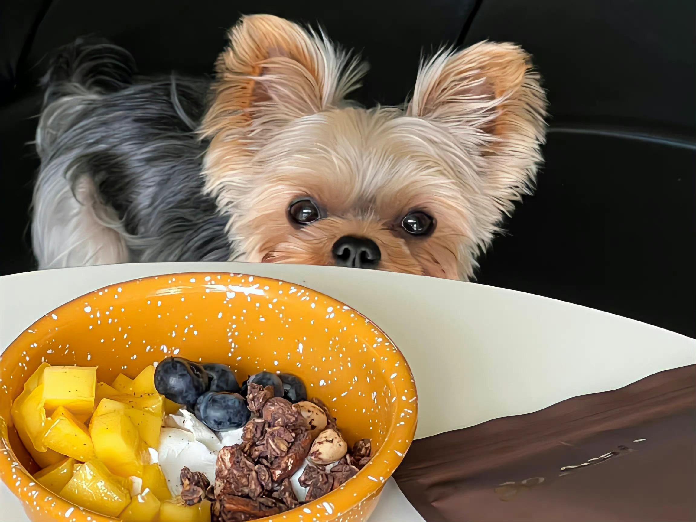 ins风ipad壁纸 - 知乎