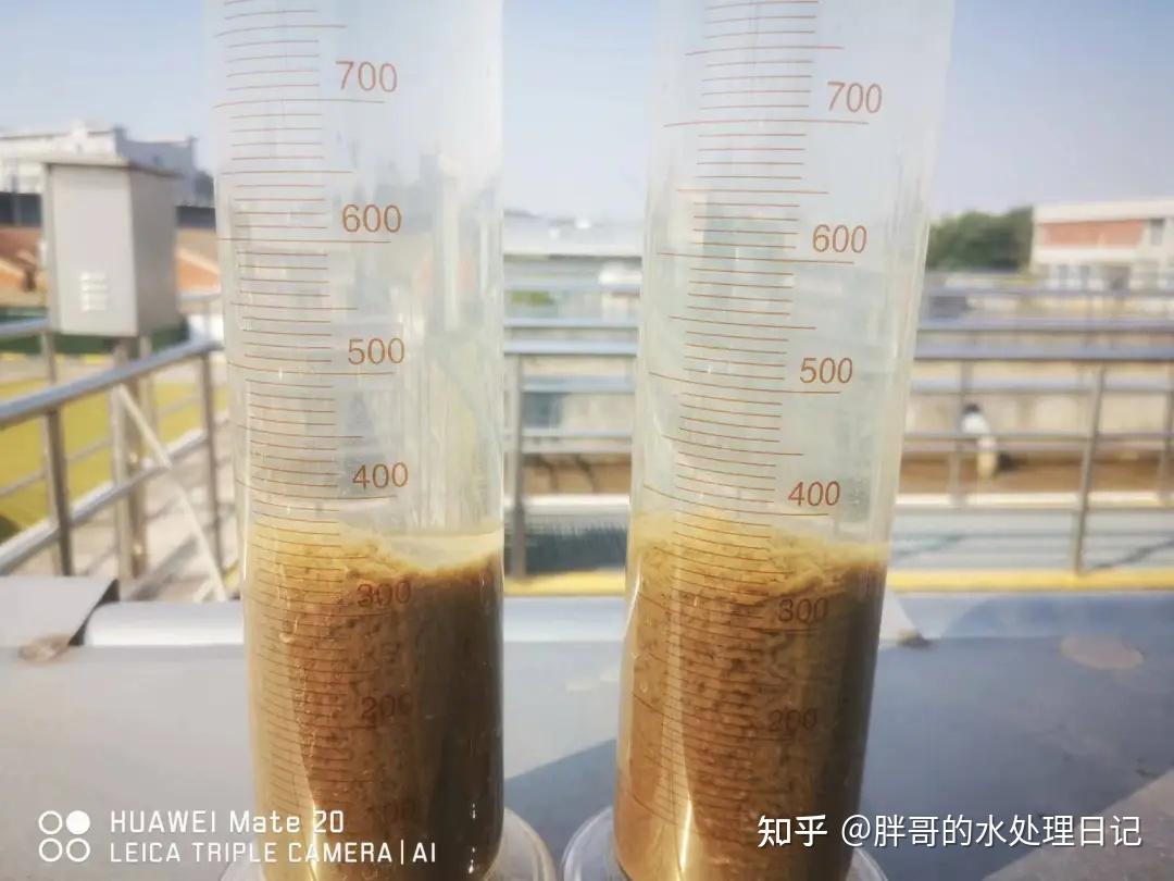 生物除磷效果不好，到底是什么原因？ - 知乎