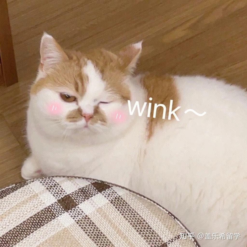 最新！24fall港八大硕士申请时间+录取偏好 - 知乎