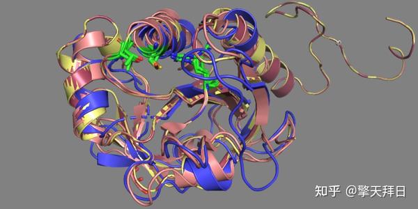 同源建模预测蛋白质三维结构（SWISS-MODEL+Pymol零基础教程） - 知乎