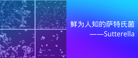 肠道核心菌——戴阿利斯特杆菌属 （Dialister） - 知乎