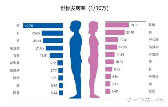 18F-FES PET/CT靶向核素显像助力ER阳性乳腺癌精准诊断 - 知乎