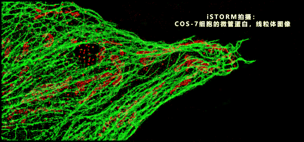 史无前例！力显智能将于中国神经科学会议现场做20nm超高成像（欢迎现场体验） - 知乎