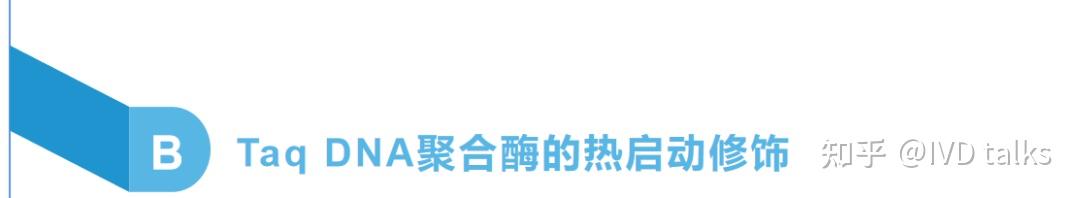 【PCR核心酶】Taq DNA聚合酶 - 知乎