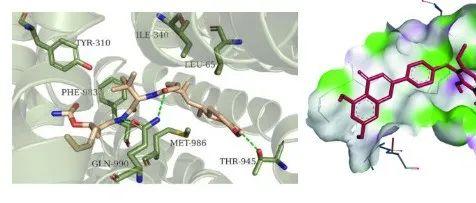CADD计算机辅助药物设计+AIDD人工智能药物设计 - 知乎