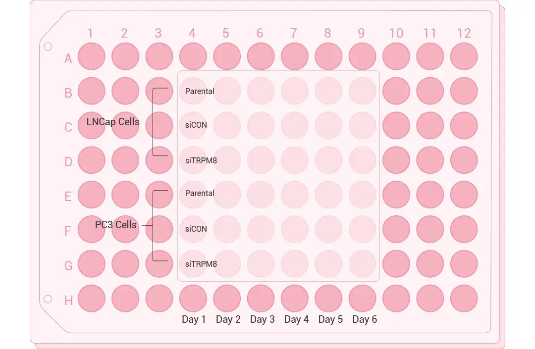 CCK-8 实验详细教程 | MedChemExpress (MCE) - 知乎
