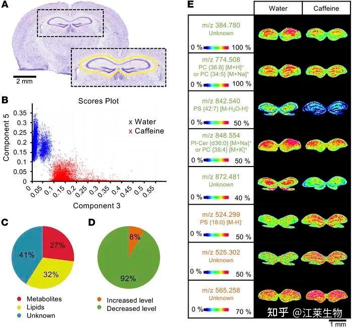 研究表明：咖啡因与你大脑之间的相互作用，结果出乎意料！ - 知乎