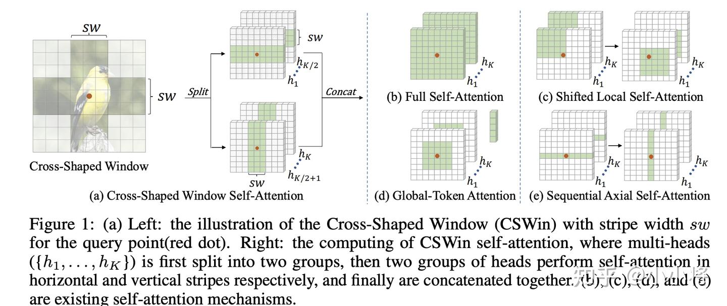 最强Local Vision Transformer：CSWin Transfomer - 知乎