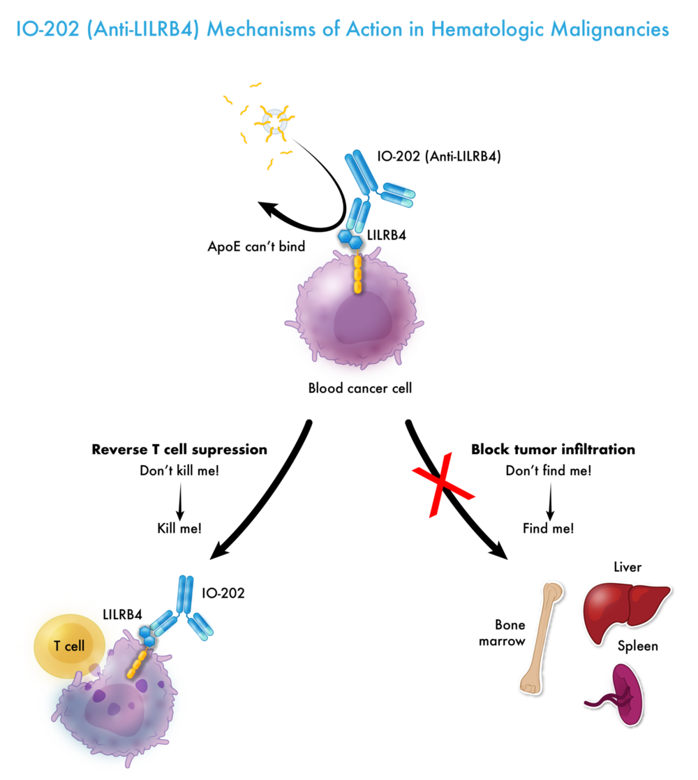 抗癌理想靶点新选择：LILRBs - 知乎