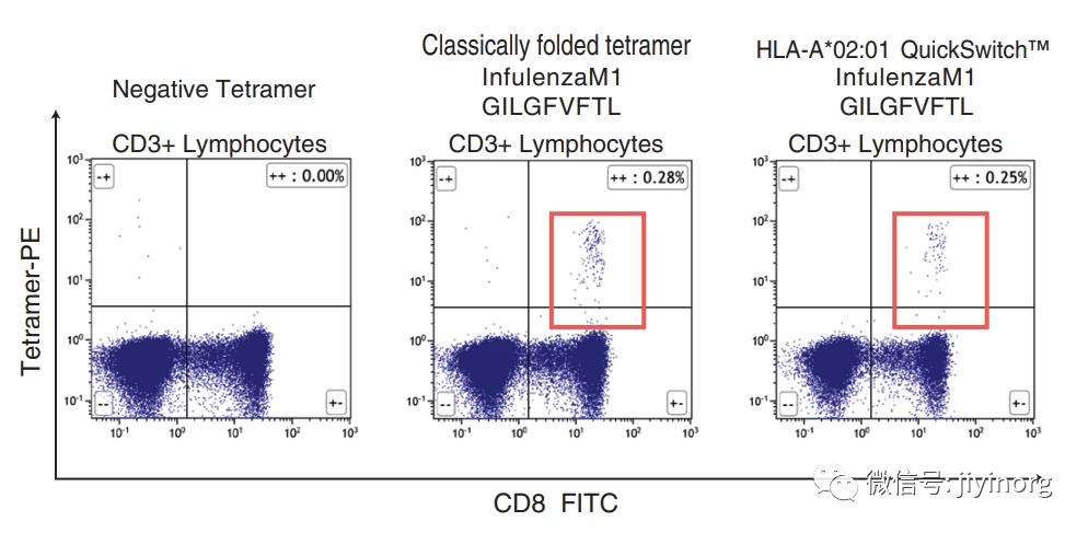 四聚体（Tetramer）在肿瘤新生抗原（Neoantigen）疗法领域的应用 - 知乎