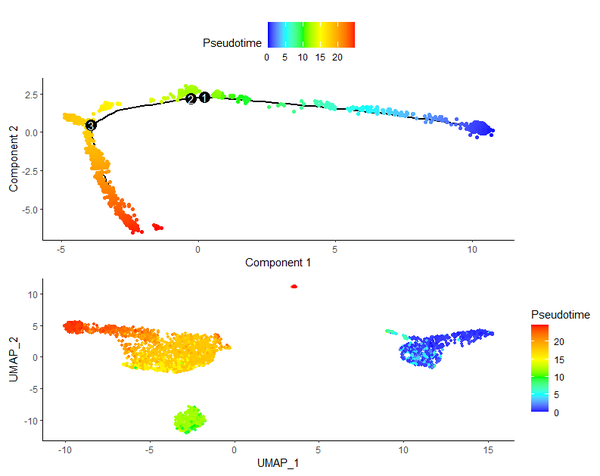 跟SCI学Pseudotime 2 | 将拟时序分析结果映射到 umap 中 - 知乎