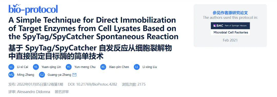 基于SpyTag/SpyCatcher自发反应从细胞裂解物中直接固定目标酶的简单技术 - 知乎