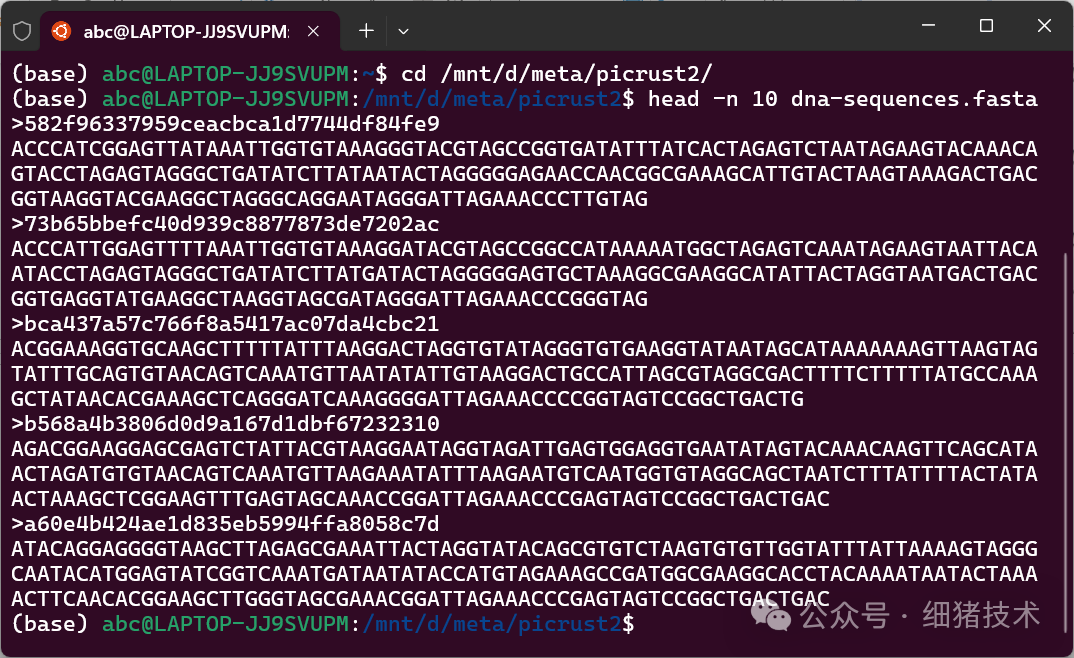 PICRUSt2标准分步分析流程实操 - 知乎
