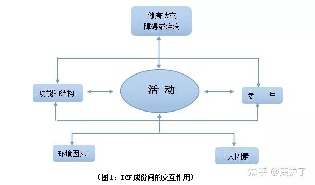 作为康复人，ICF是康复的理论支撑和指导思想，你搞清楚了吗？ - 知乎