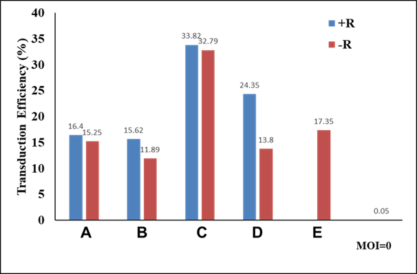 CGT系列 | CAR-T疗法工艺开发策略 - 知乎