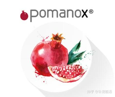 前沿洞察｜Euromed 推出具有“自然界最强抗氧化剂”之一的石榴提取物，可促进健康衰老 - 知乎