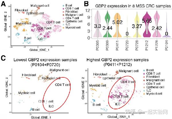 单基因生信文章的一区之路 - 知乎