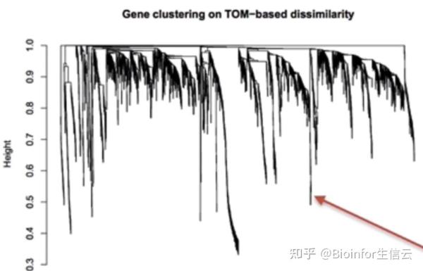WGCNA的原理和分析步骤 - 知乎