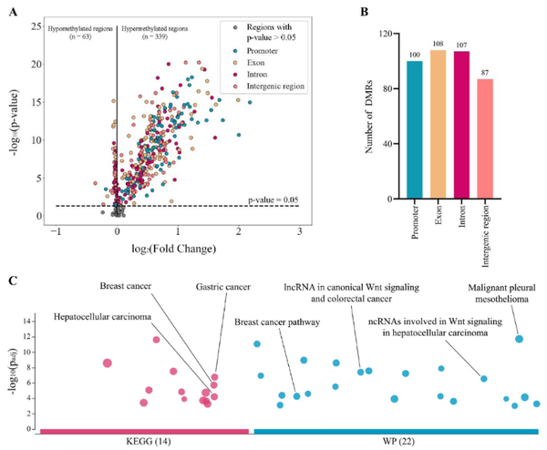 eLife | 基于cfDNA甲基化和片段组学多模态分析，实现多癌种早检及定位 - 知乎
