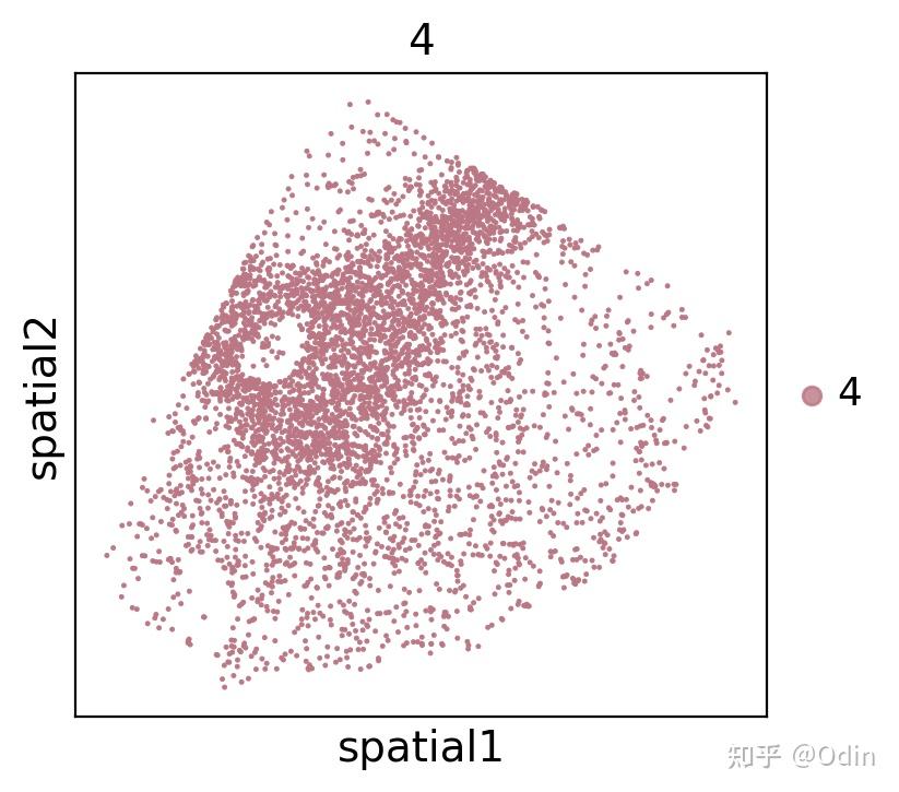 教程：用scanpy和squidpy分析单细胞空间转录组数据 - 知乎
