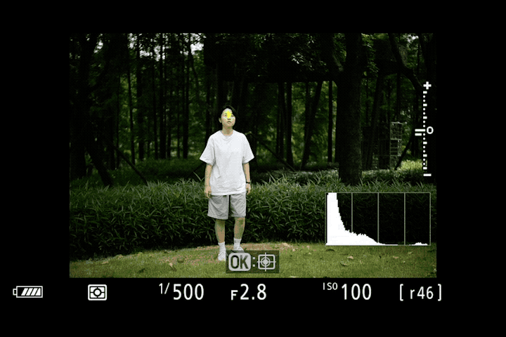 【a7club实战为王系列】唯卓仕 NF-Z 自动对焦转接环评测 - 知乎