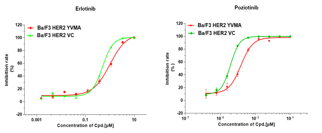 OncoWuXi速递 | Ba/F3-HER2-exon20-insertions工程细胞系 - 知乎