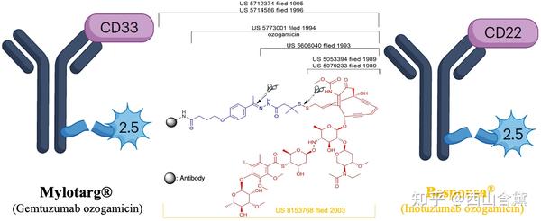已批准ADC的专利布局 - 知乎
