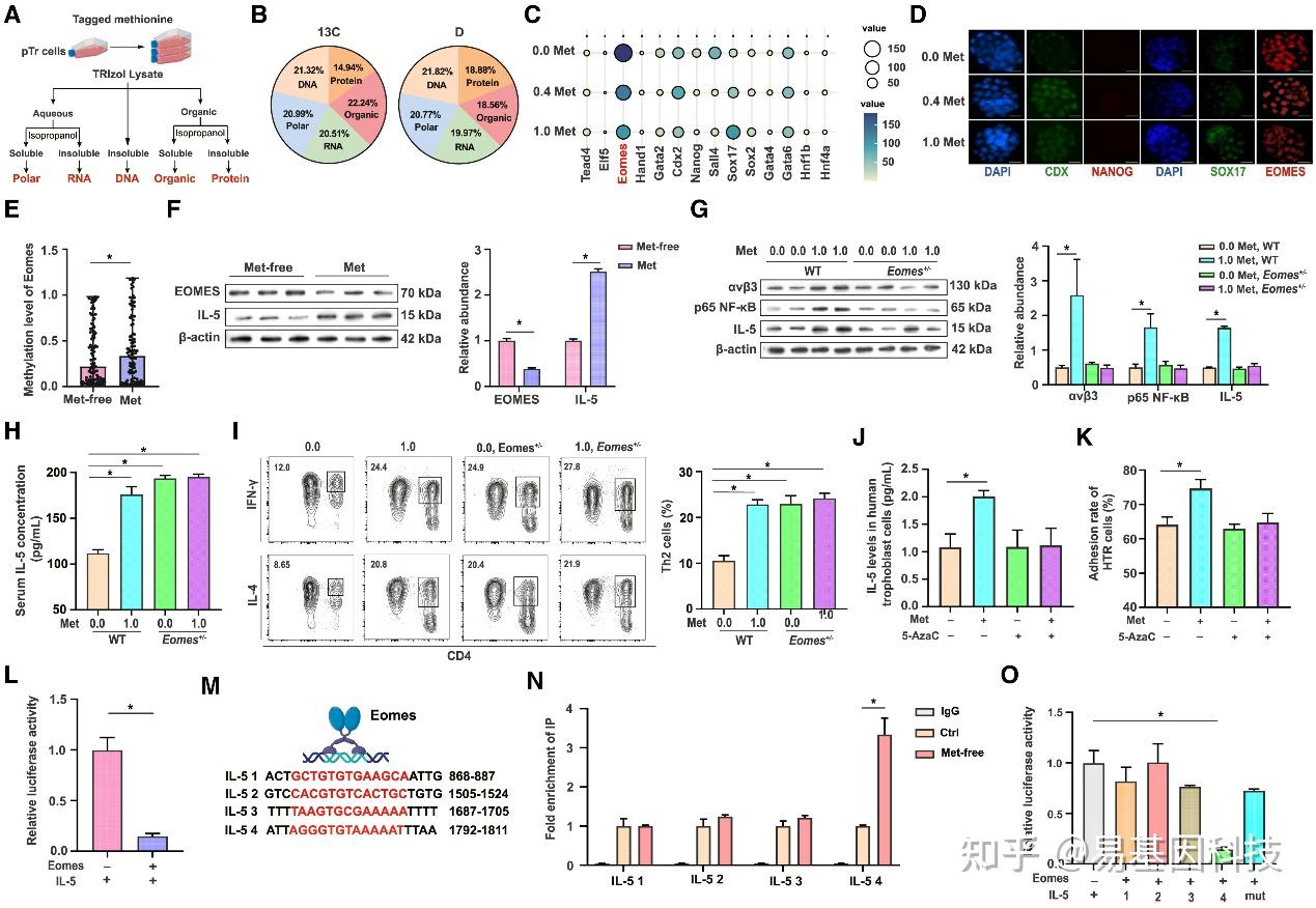 易基因：中农大曾祥芳团队WGBS+ChIP-seq揭示蛋氨酸在母胎免疫耐受和子宫内膜容受中的表观调控机制｜Cell Rep - 深圳市易基因科技 - 博客园