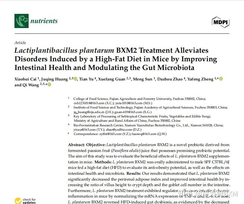 强功效·成果|植物乳植杆菌BXM2：调节肠道健康，体重管理全新解决方案 - 知乎
