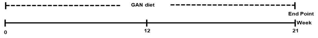 GAN饮食诱导NASH模型 | 老龄鼠再展新风采，助力NASH药物研发 - 知乎