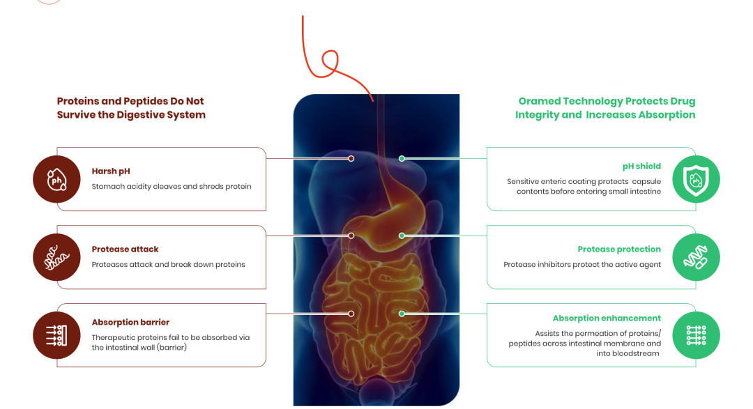 快讯 | Oramed口服胰岛素ORMD-0801治疗NASH Ⅱ期临床结果积极 - 知乎
